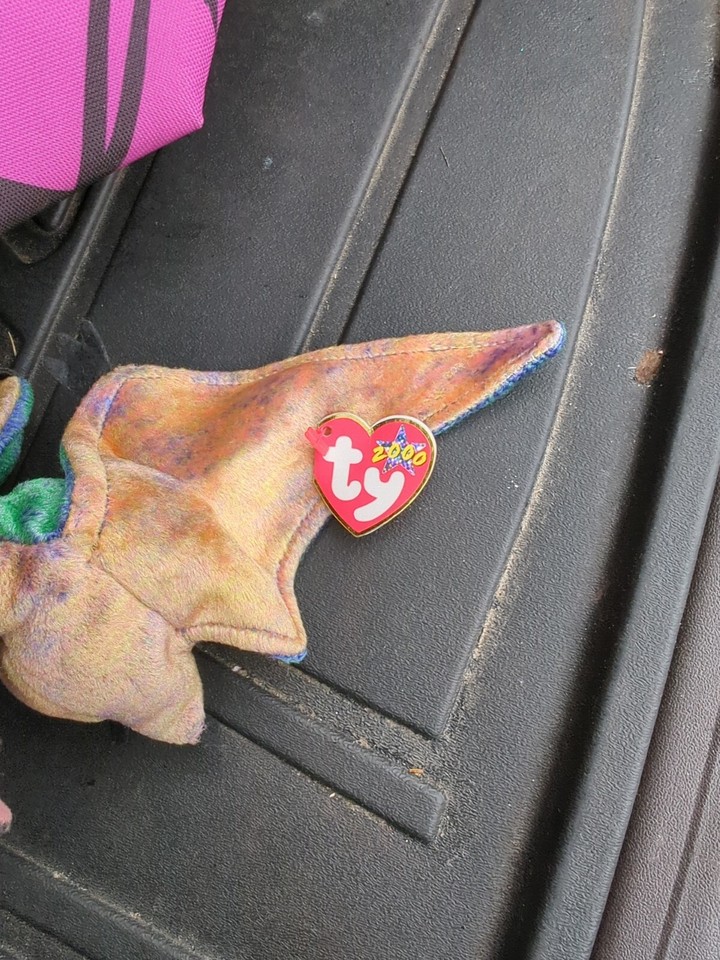 Ty Beanie Baby - SWOOP the Pterodactyl Dinosaur (6 Inch) MWMT Stuffed ...