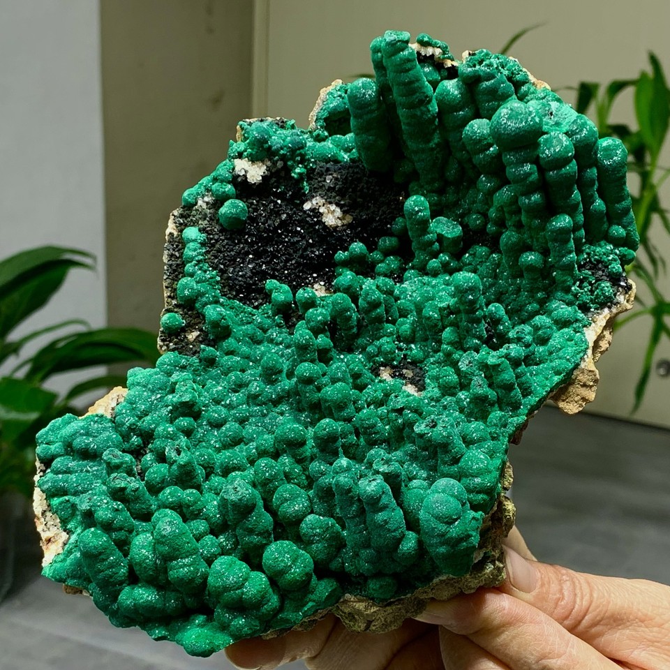 2.34LB Natural Malachite rysocolla transparent cluster rough mineral ...
