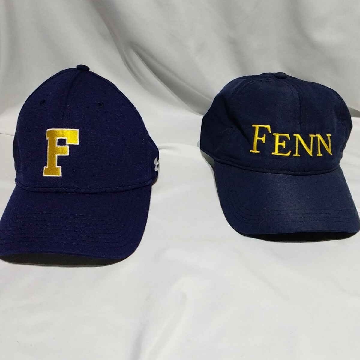 Fenn School Logo