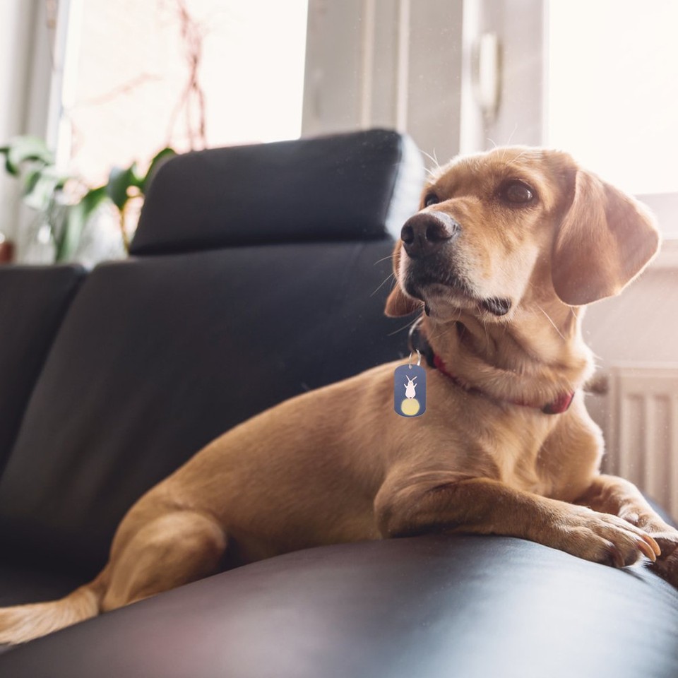 2pcs Heat Transfer Pet Tag Pendants Sublimation Blank Metal Pendant ...