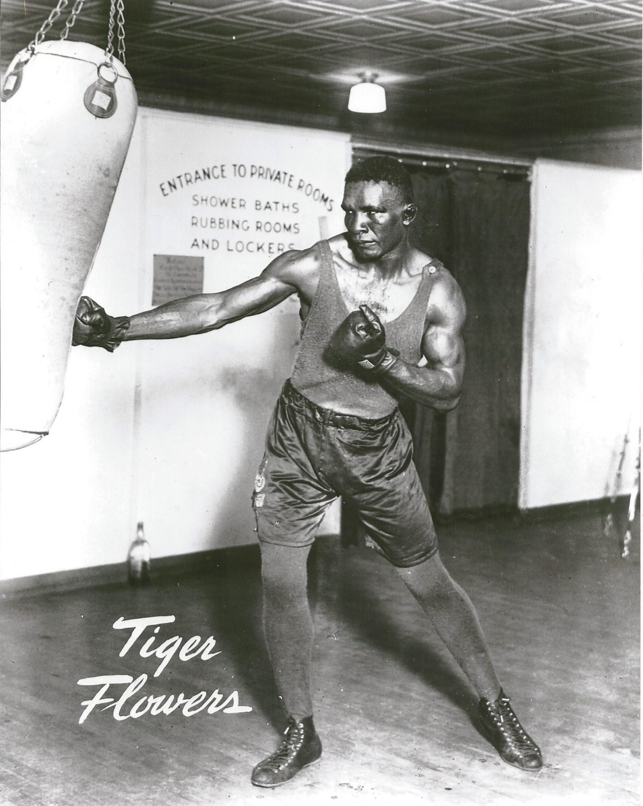 TIGER FLOWERS 8X10 PHOTO BOXING PICTURE | eBay