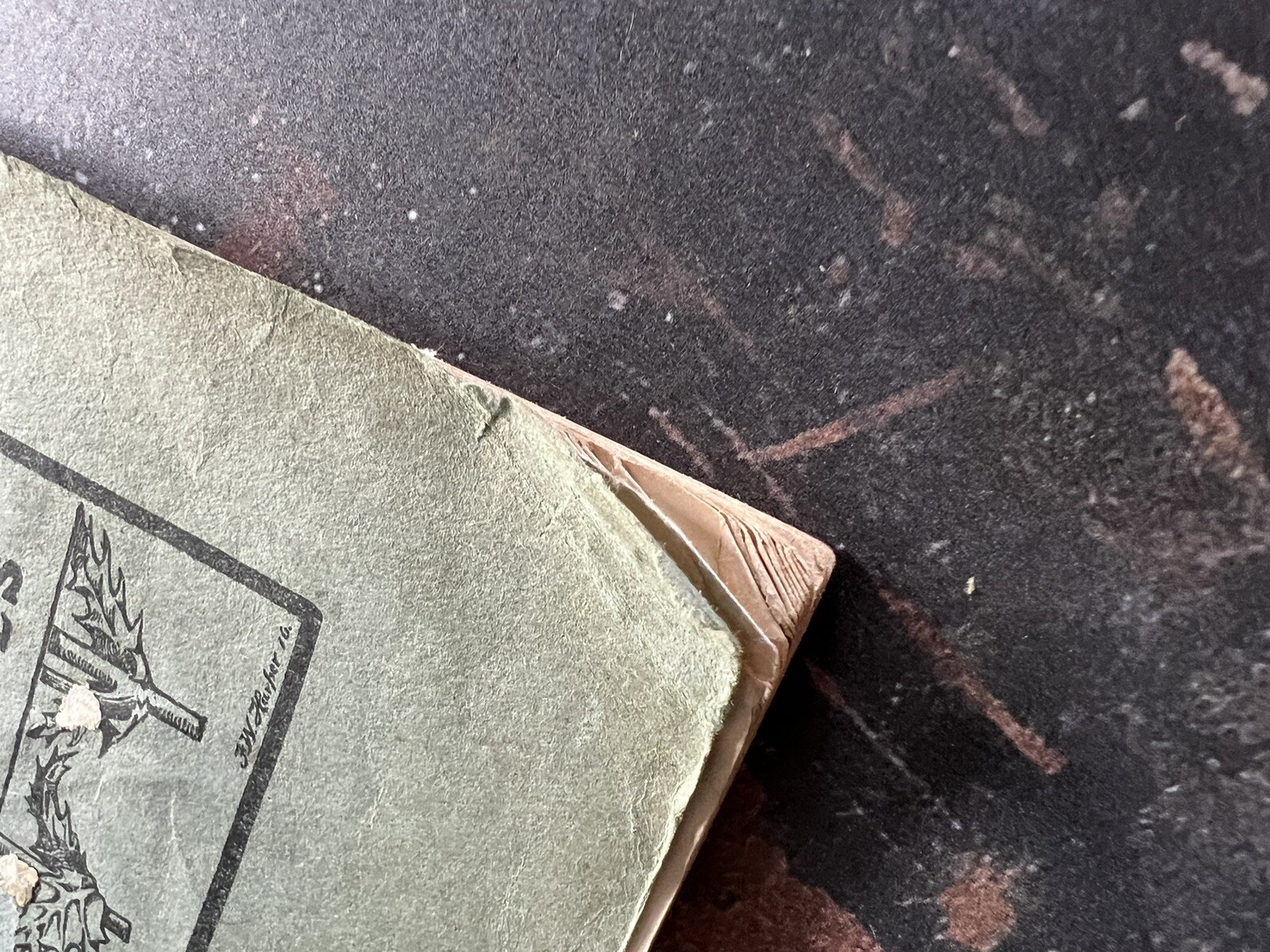 Nectar Producing Plants & their Pollen by George Hayes 1925 - Rare ...