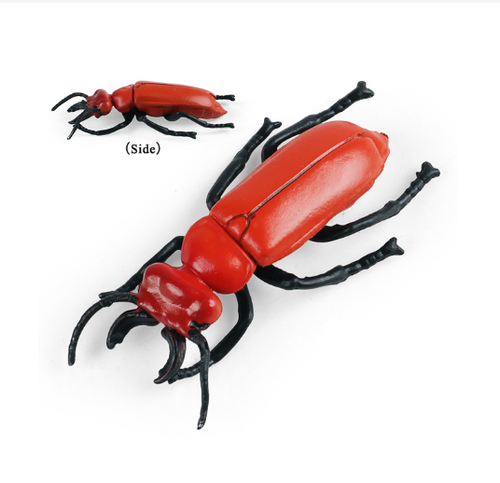 8cm Mini Stag Beetle Insect PVC Toy Animal Figure Doll Kids Gift | eBay
