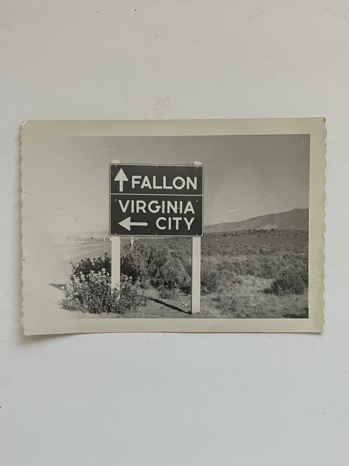 AMAZING 1952 Photo of RARE HIGHWAY SIGN/FALLON/VIRGINIA CITY/NEVADA ...