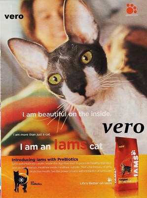 IAMS cat food long ears 2009 magazine ad print clipping beautiful on ...