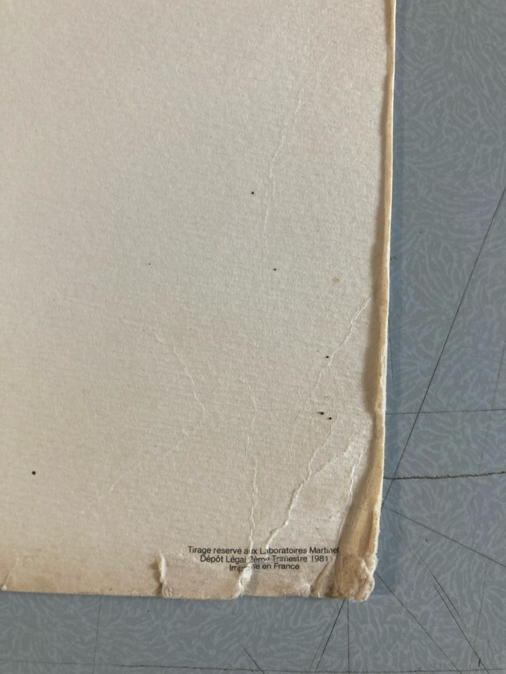 Beautiful Lithograph Darrort Eye Curiosity Flayed At 1980 Print Litho ...