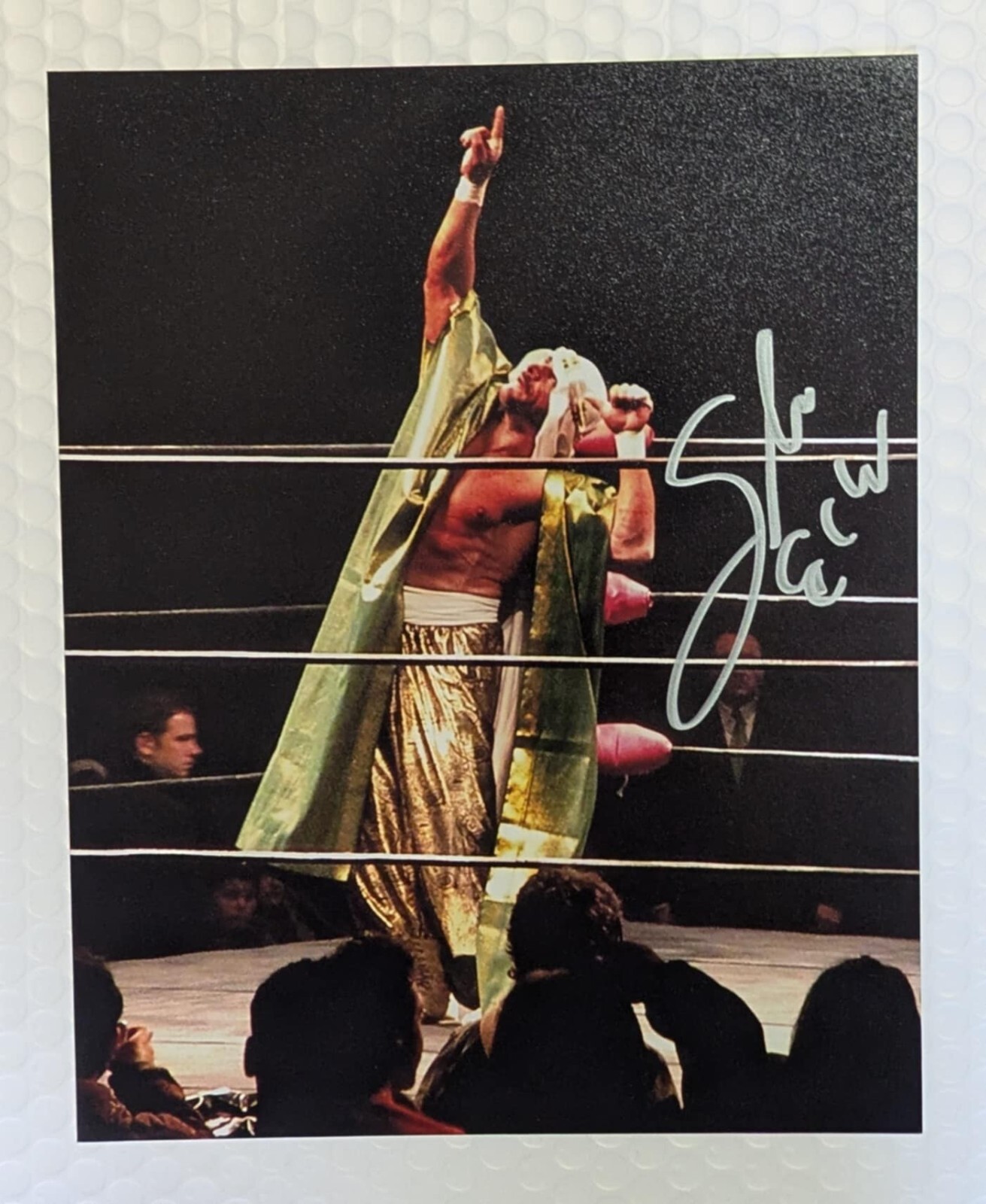 Sabu Autographed 8x10 Glossy Photo J Hand Signed ECW TNA WWE WWF COA｜代購幫