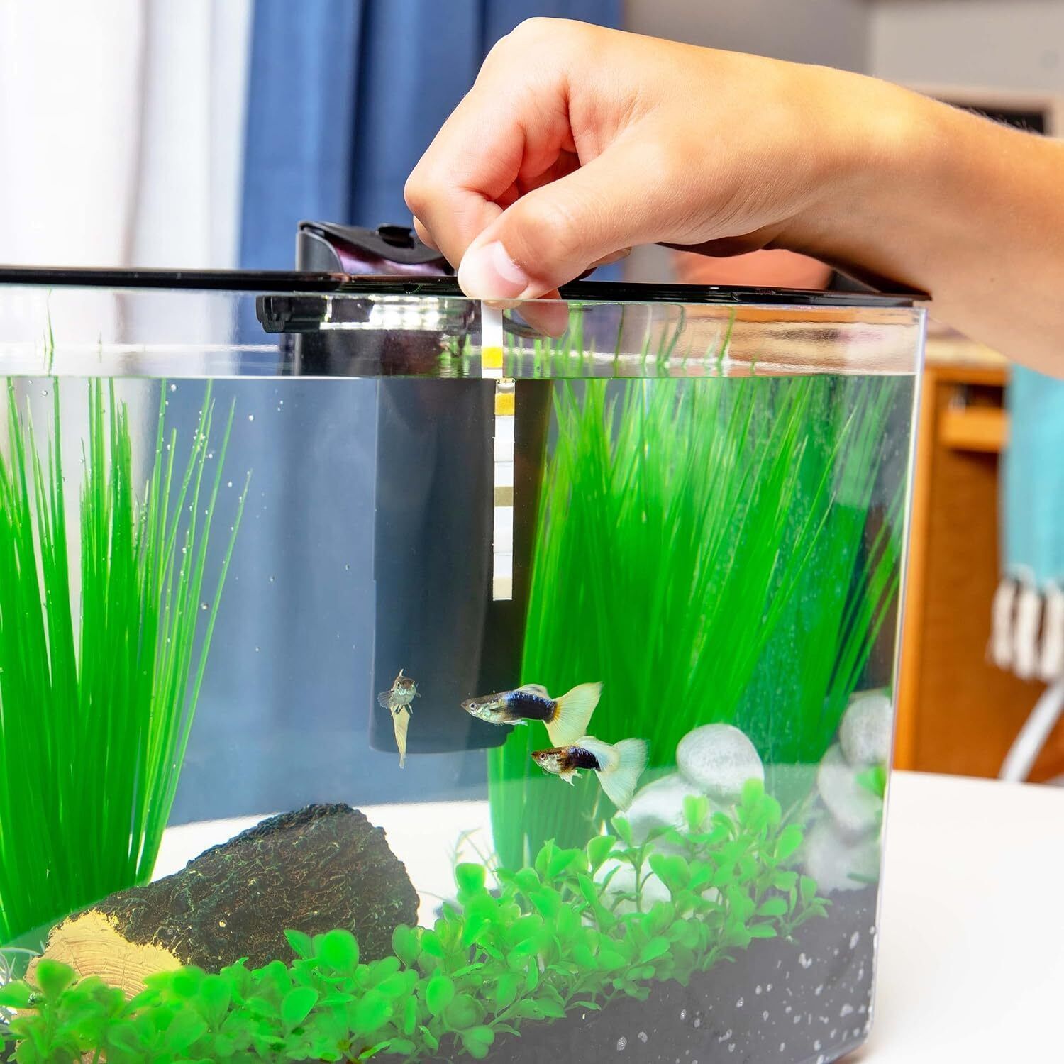 Crescent Aquarium Kit 5 Gal Curved-Front Fish Tank Power Filter ...