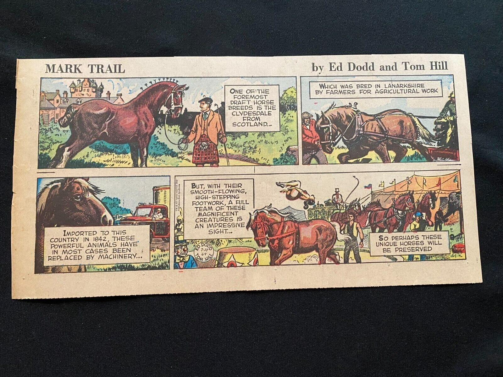 #01 MARK TRAIL by Ed Dodd Lot of 42 Sunday Third Page Comic Strips 1969 ...