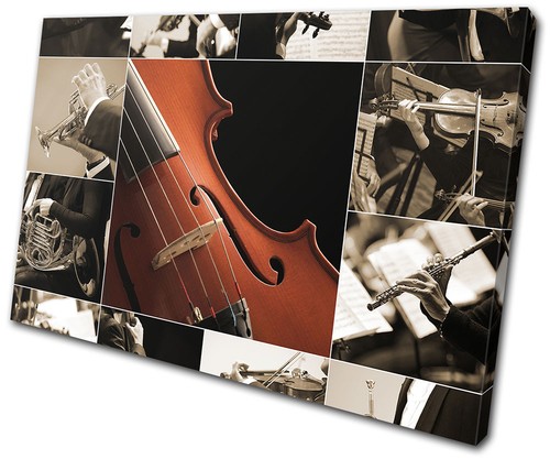Instruments Violin Montage Collage Musical SINGLE TELA parete arte foto ...