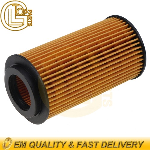 For Kohler Lombardini Denso Oil Filter Element ED0021750010-S | eBay