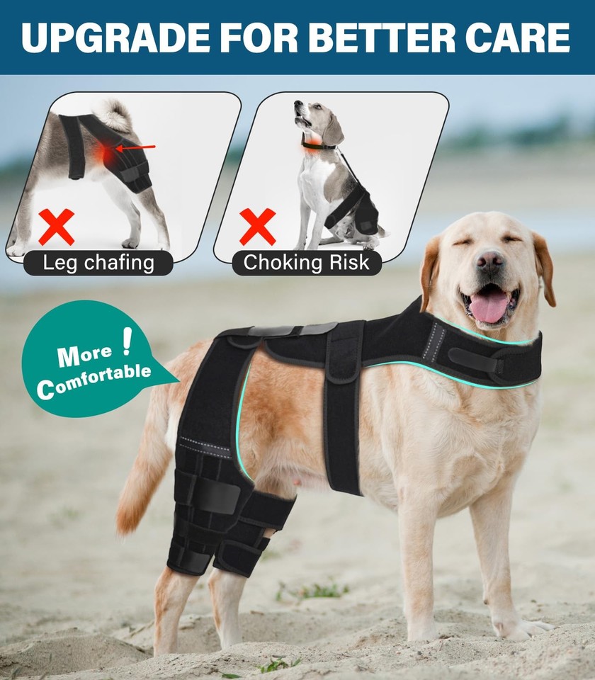 Dog Knee Brace with Vest Adjustable ACL Support for Hind Leg Injuries ...