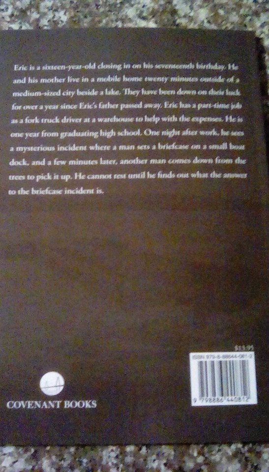 "The Briefcase Mystery" by Wayne Riddle (think Hardy Boys, Ken Holt ...
