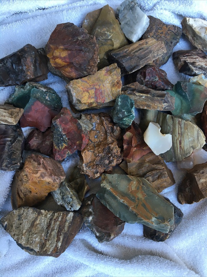 Central Oregon Jasper, Petrified Wood, Agate & Misc Rough 10 lbs Lot | eBay