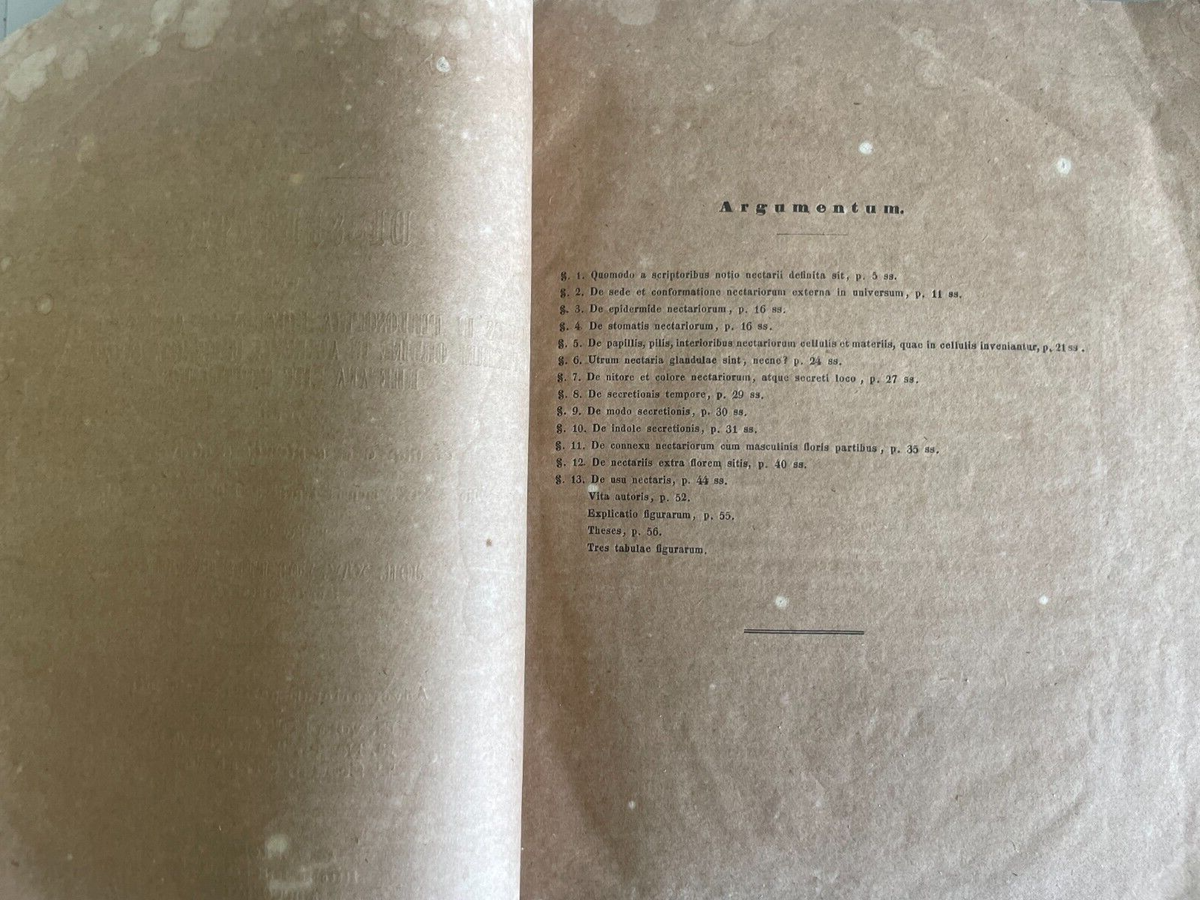 Anna Sermonti Luigi Ravagnan Venecia Raro Libro Copia N. 1024
