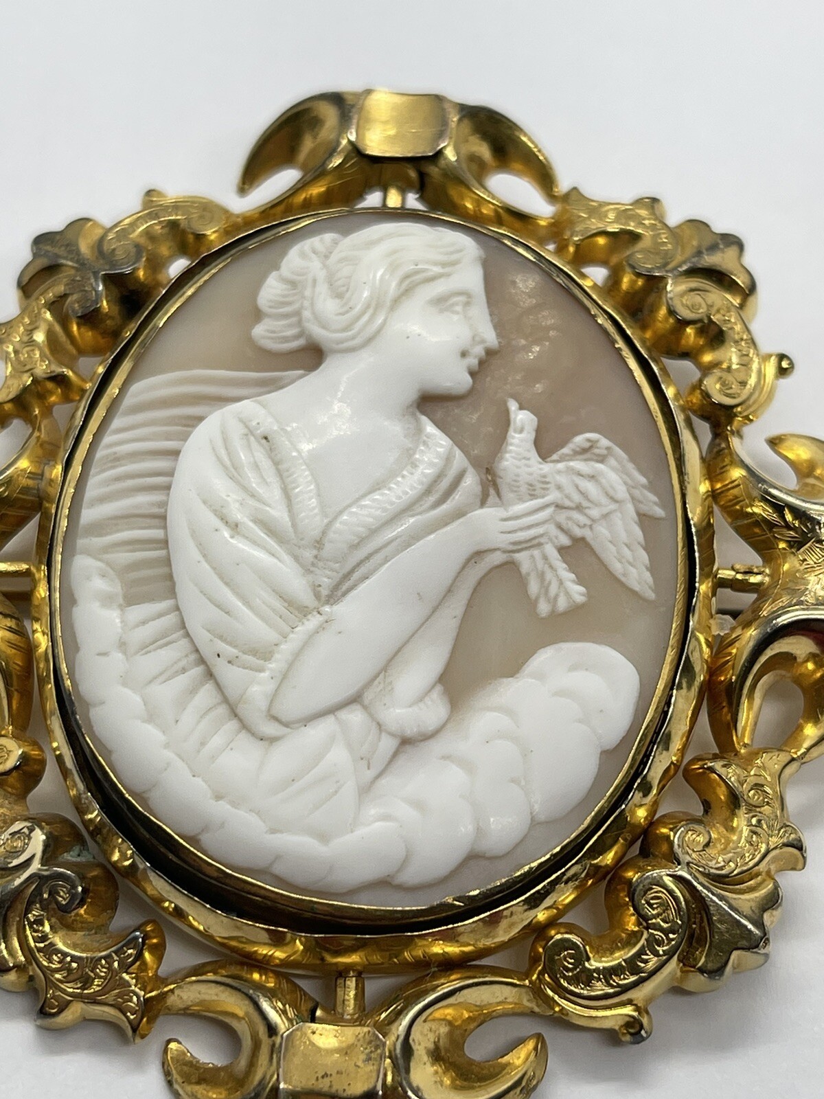 Antique Victorian Large Gold Filled Aphrodite & Dove Carved Shell CAMEO ...