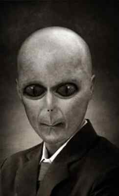 MALE GREY ZETA RETICULI ALIEN LIVING ENTITY COMPANION~ TANGIBLE~ | eBay