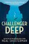 Challenger Deep by Shusterman, Neal Book The Fast Free Shipping ...