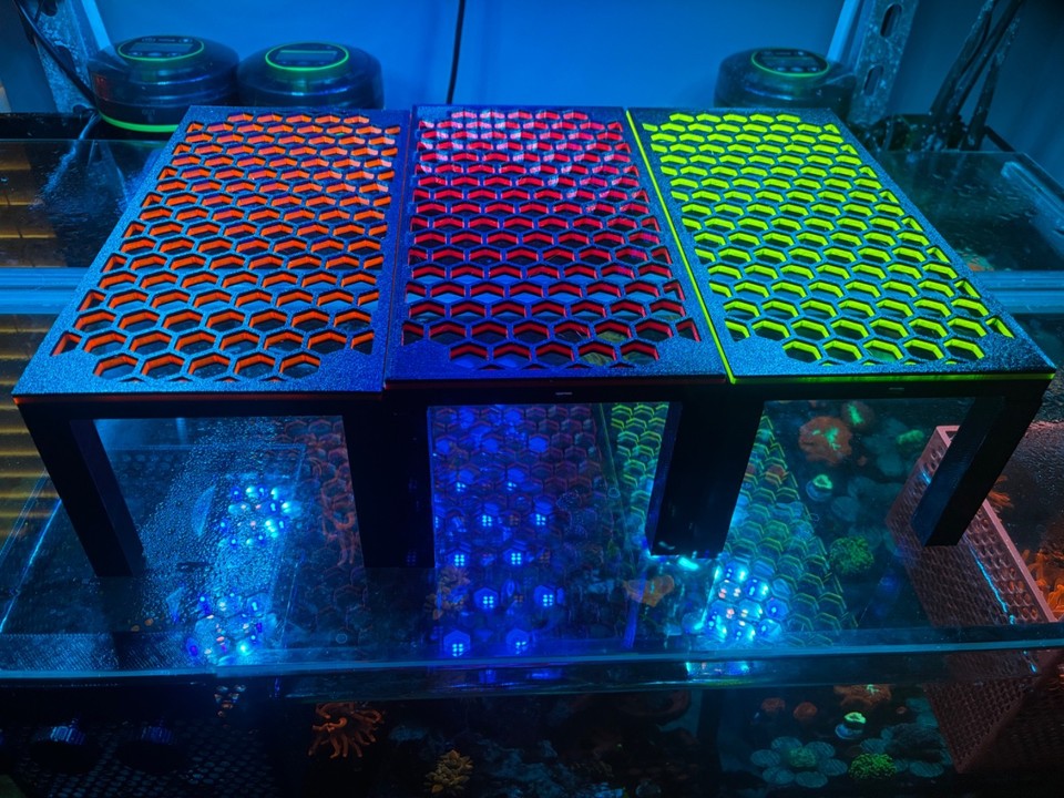 Neon UV reactive coral frag rack 10 x 5 inch, 2 tone or all black reef ...