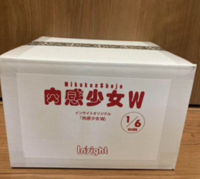 Insight Official Nikkan Girl W 1/6 scale 216mm PMMA figure 2021 japan ...