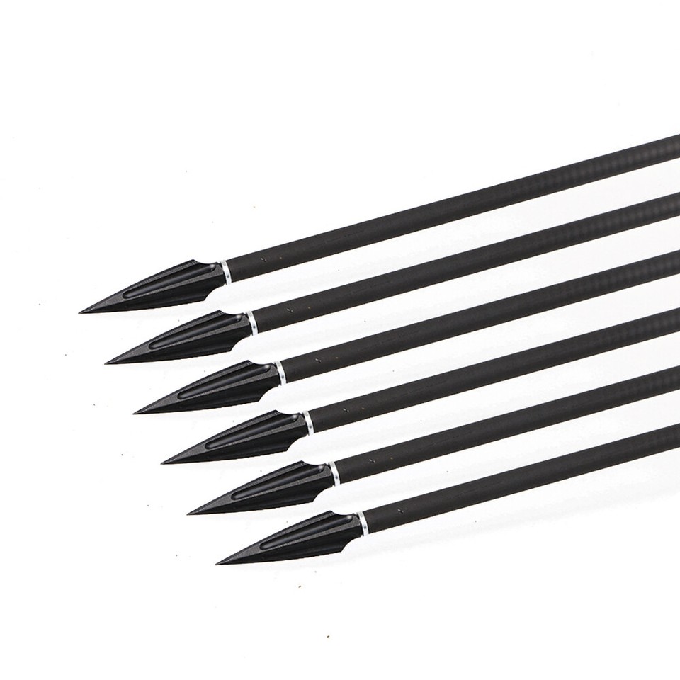 Archery 30" Carbon Arrows Practice & Hunting Arrowheads for Compound ...