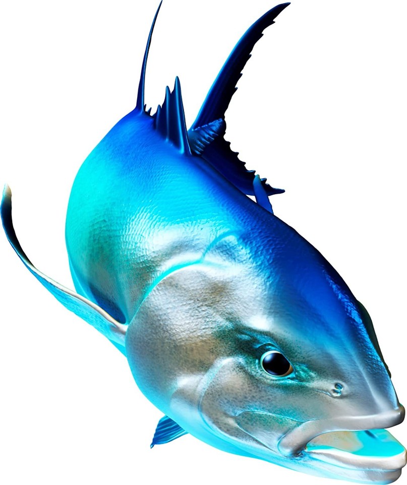 Giant Trevally Vinyl Sticker Fish Decals for Boat Car Vehicle Truck ...