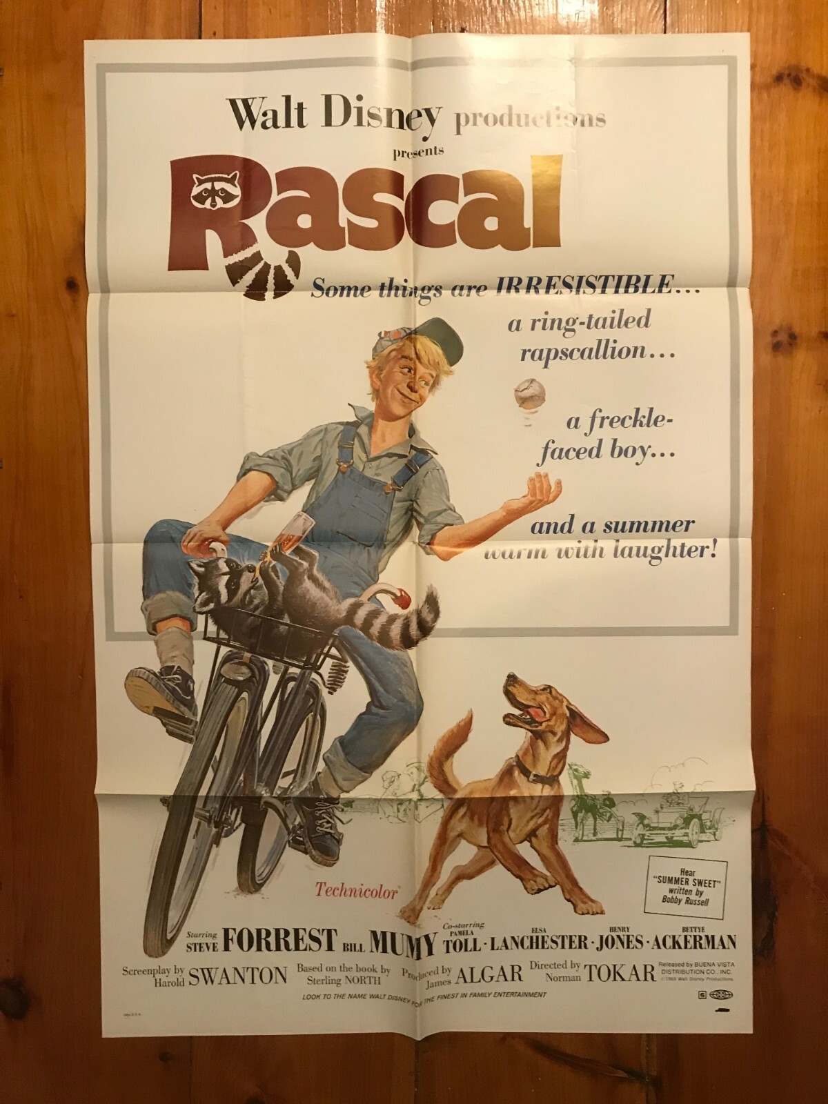 Rascal One Sheet 1968 Steve Forrest, Bill Mumy | eBay