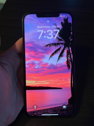 Apple iPhone 12 Pro Max - 512 GB - Pacific Blue (Unlocked) | eBay