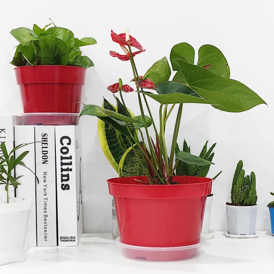 8 inch Plastic Flower Pots, Red Plant Pots 12Pack with Saucers for ...