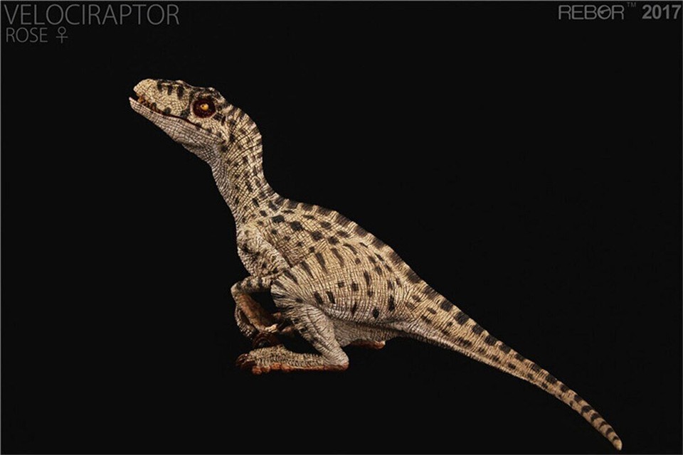 REBOR Velociraptor Couple GUNN & ROSE Figure Squatting Raptor Dinosaur ...