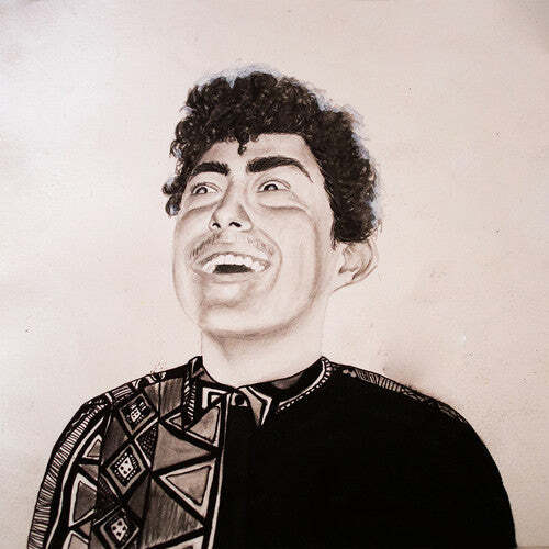 Hobo Johnson - The Rise of Hobo Johnson - LP | eBay