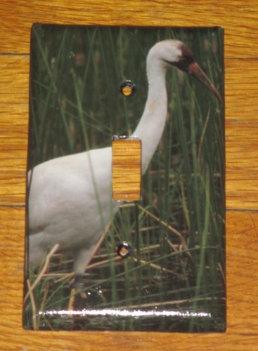 WILD NATIVE WHOOPING CRANE BIRD LIGHT SWITCH COVER PLATE | eBay