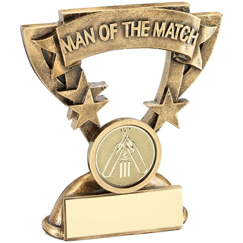 Man Of The Match Cricket Trophy Mini Cup MOTM Resin Award FREE ...