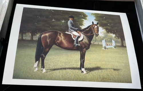 10 Pack of Blank Cards - Horses Prints by Jean Barrows | eBay