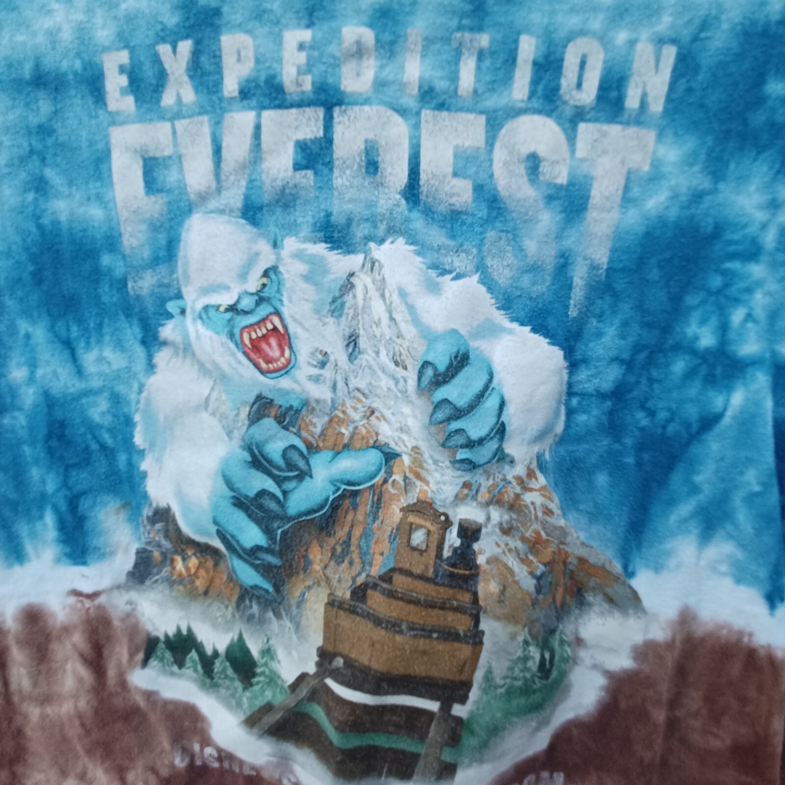 Disney Animal Kingdom Tie Dye Yeti Expedition Everest Small Roller ...