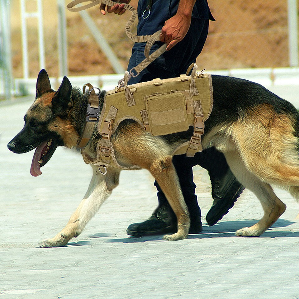 Tactical Dog Harness & Collar & Leash Set Military Training Vest with ...