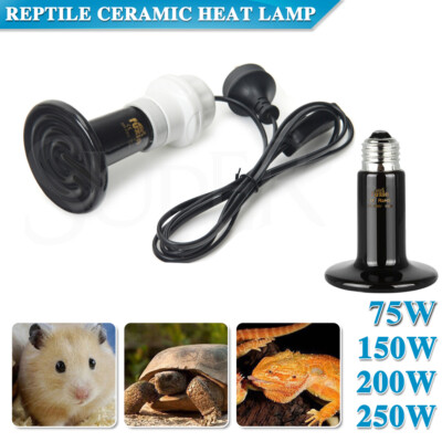 Infrared Ceramic Heat Lamp Bulb With Holder For Reptile Pet Chicken ...