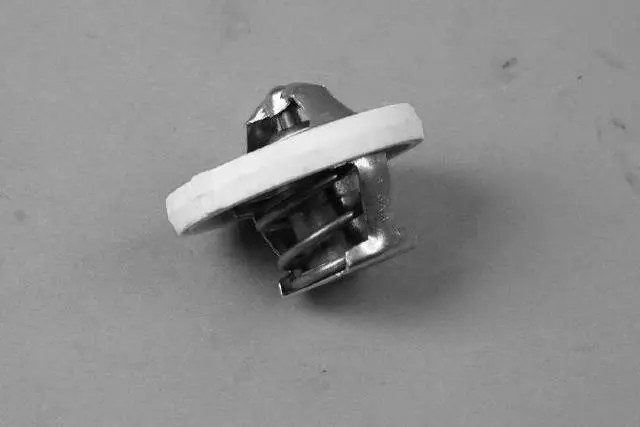 Genuine Mopar Thermostat Secondary 55111017AD | eBay