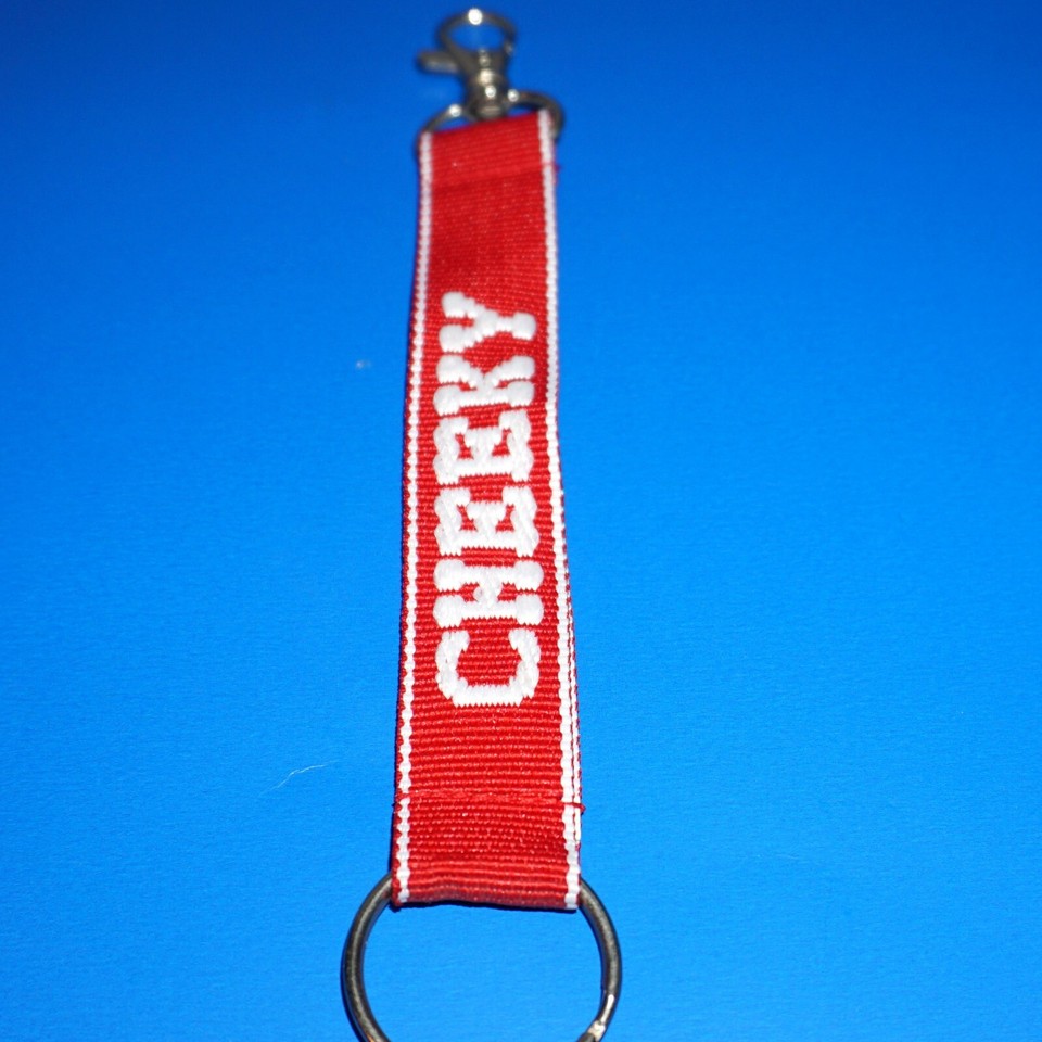 Key Chain Embroidered Lanyard Ring Clasp Choose Name or Fun Phrase 6 ...