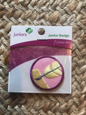 JUNIOR Girl Scout Badges SCRIBE | eBay