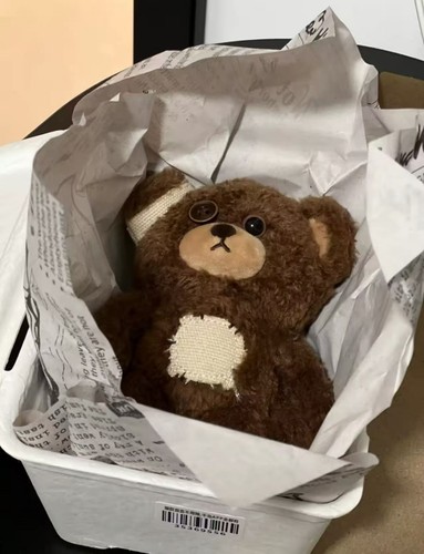 Authentic Pop Mart Hirono Bear/Plush Doll/New | eBay