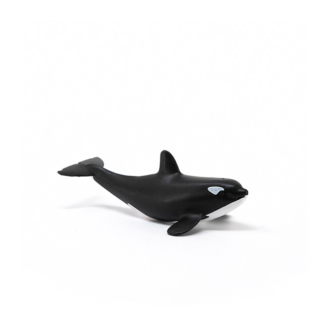 Schleich Wild Life Baby Orca 14836 | eBay Australia