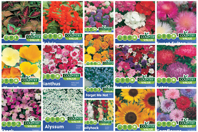 Flower Seeds by Mr Fothergills Country Value Choose your Packs | eBay UK