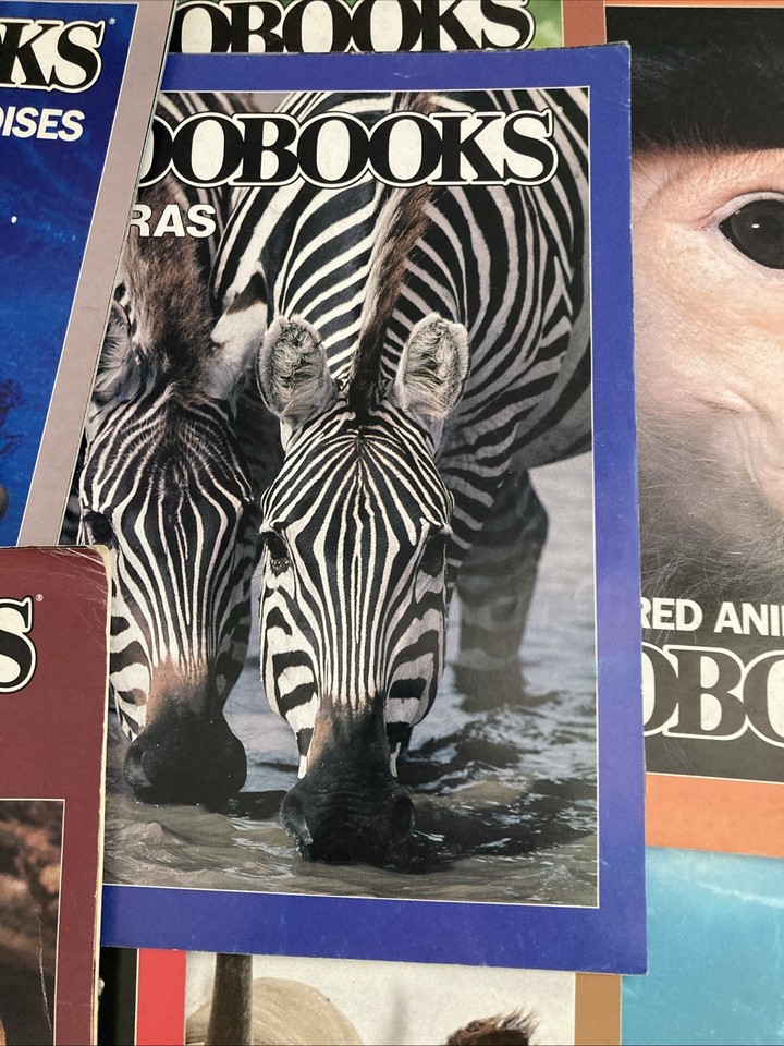 Lot Of 19 VTG Zoobooks Magazines Animals 1983-1990 | eBay
