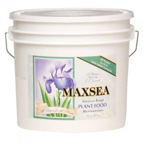 Maxsea 16-16-16 ALL PURPOSE Plant Food-Water Soluble Seaweed nutrient ...