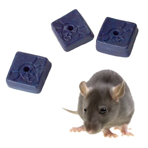 TALON WAX BLOCKS 2.4kg Rat Mouse Bait Poison Rodenticide Blox Brodi ...