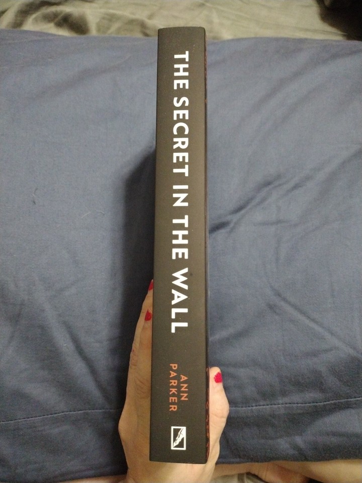 The Secret in the Wall : A Novel by Ann Parker Brand New Paperback ...