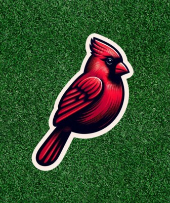 Beautiful red cardinal 100% waterproof vinyl sticker decal - many sizes ...