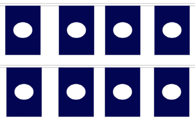 Hardee 12x18 Bunting String Flag Banner (8 Flags) | eBay