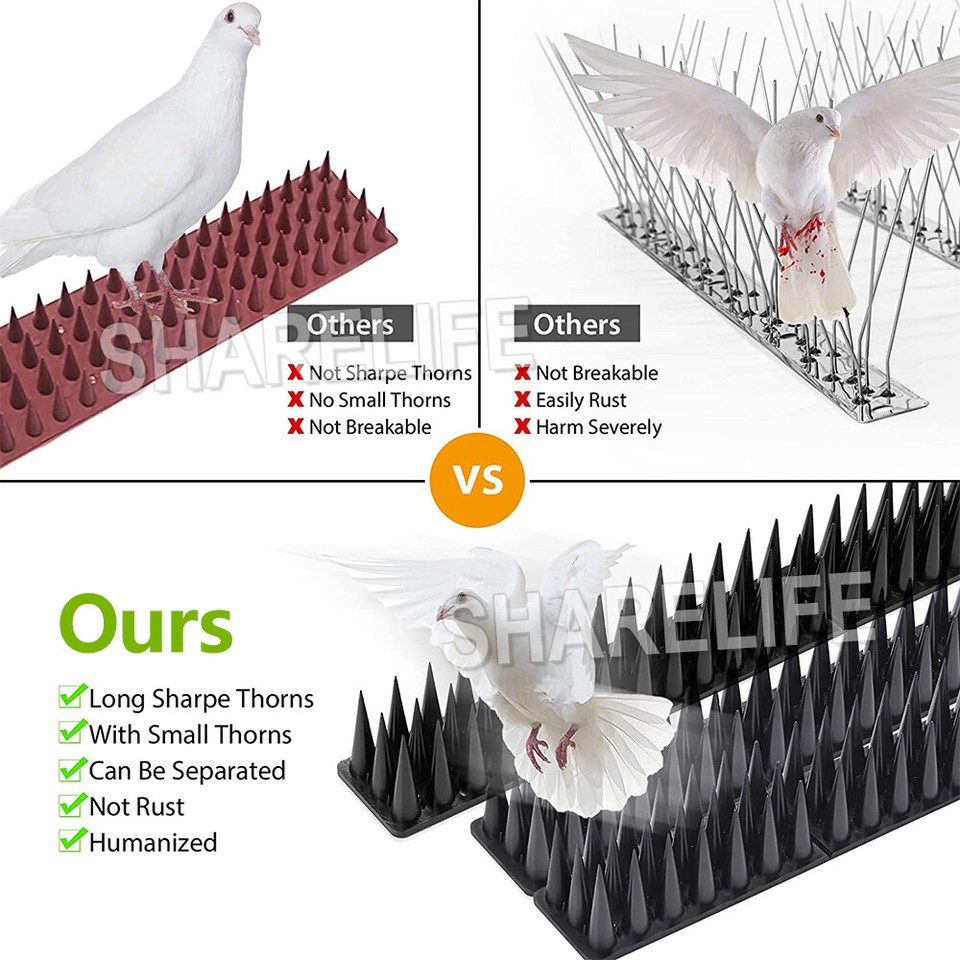 12pc Bird Spikes Human Cat Possum Mouse Pest Control Spiked Fence Wall ...